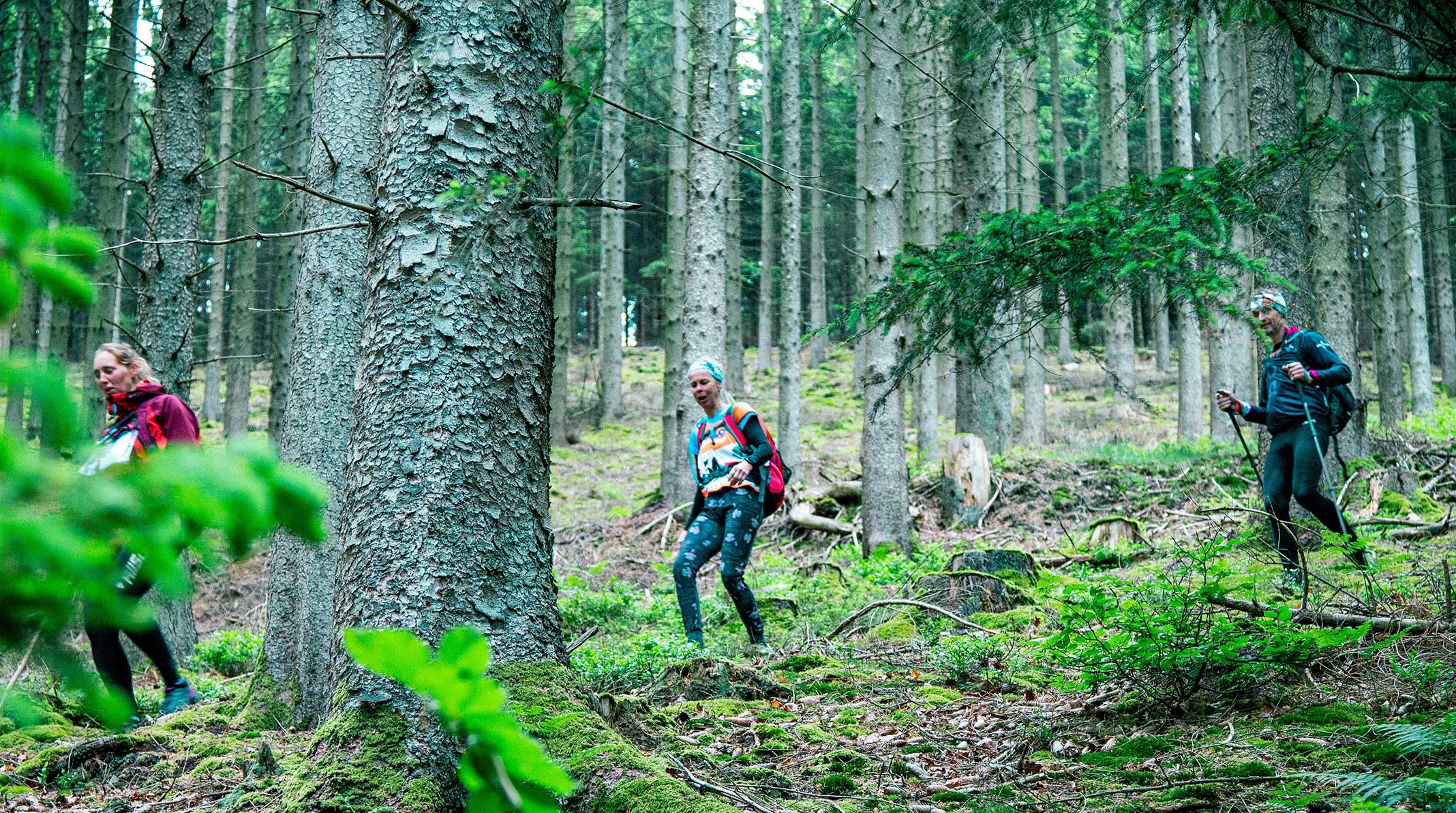 ARWS Europe - SERIES TYPES - ARWS